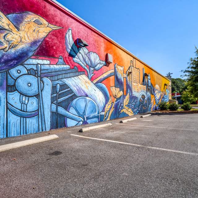Vibrant Tapestries: Exploring Greenville SC's Murals