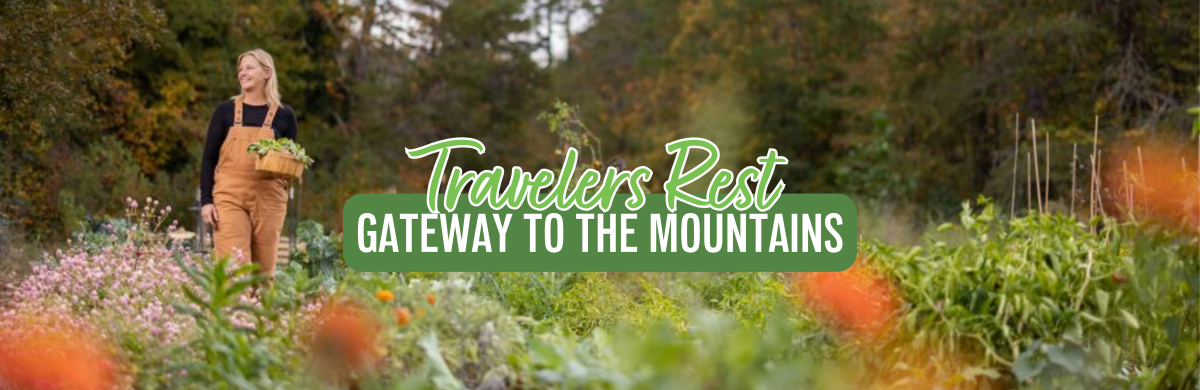 An Introduction to Travelers Rest: Gateway to the Mountains
