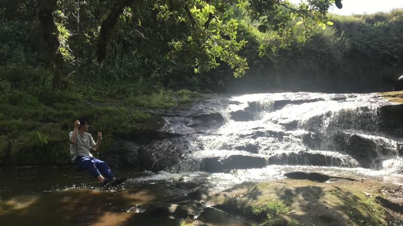 Good Day Tours and Transportation