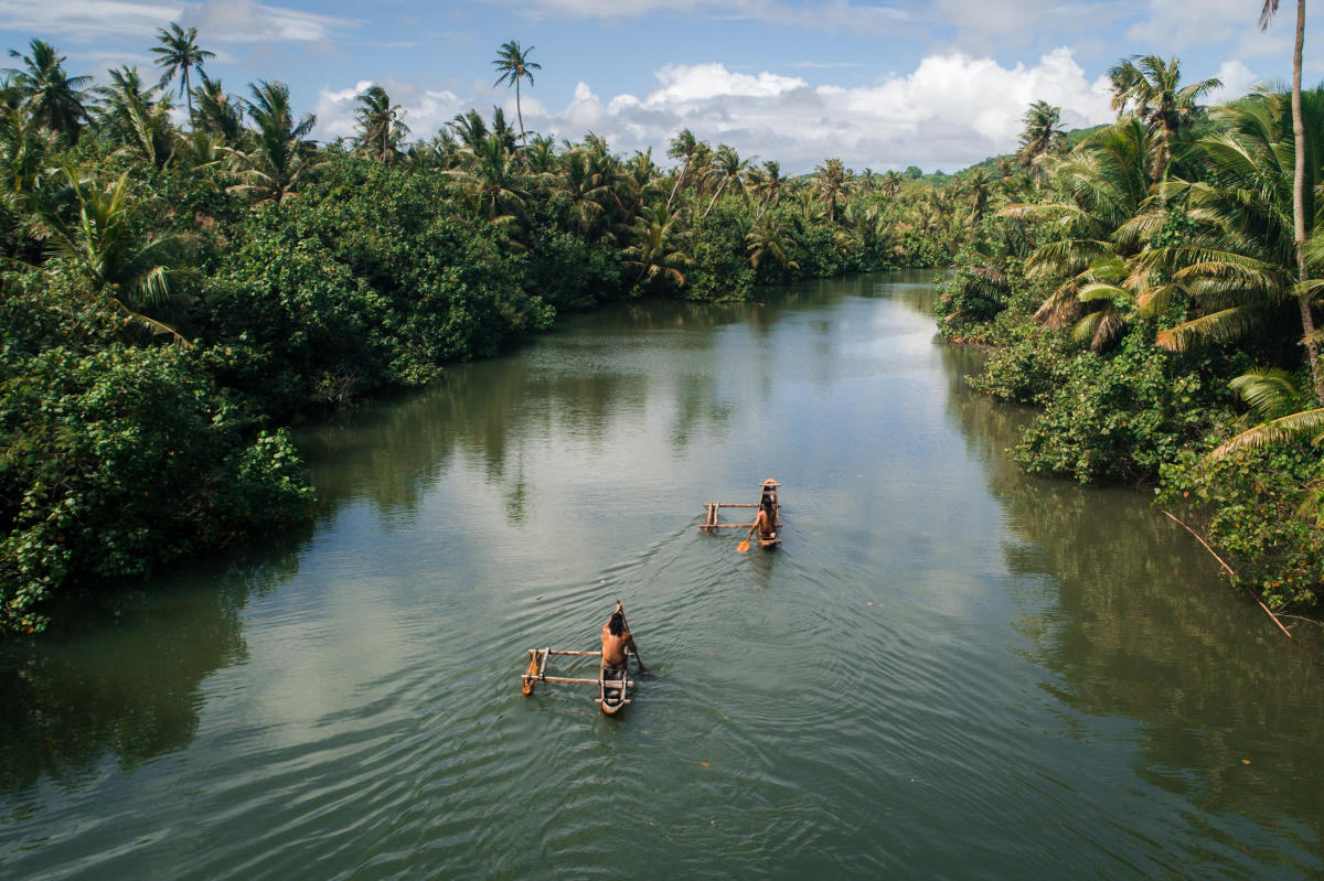 Guam Nature | Guam Wildlife & Trees