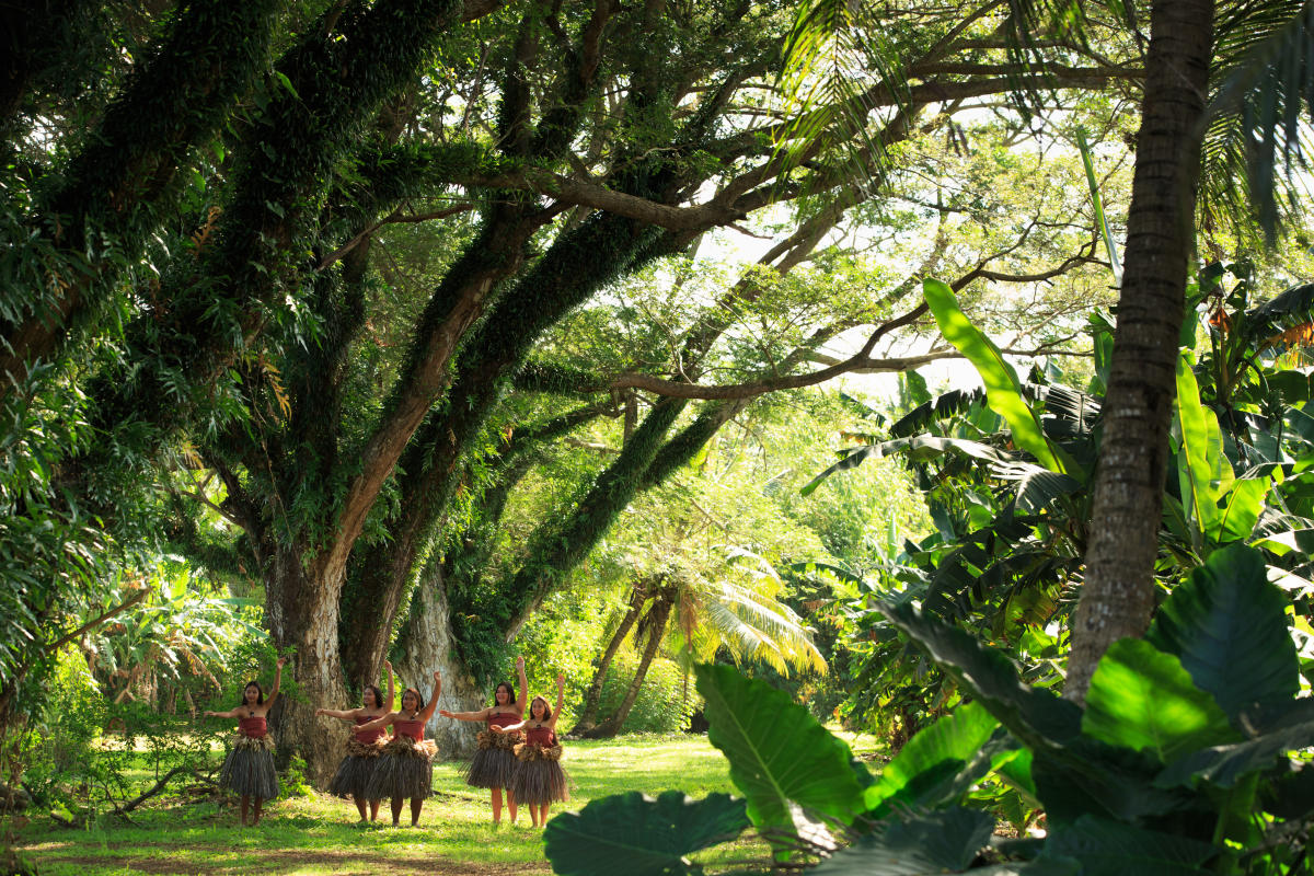 Trees & Nature | Chamorro Culture in Guam