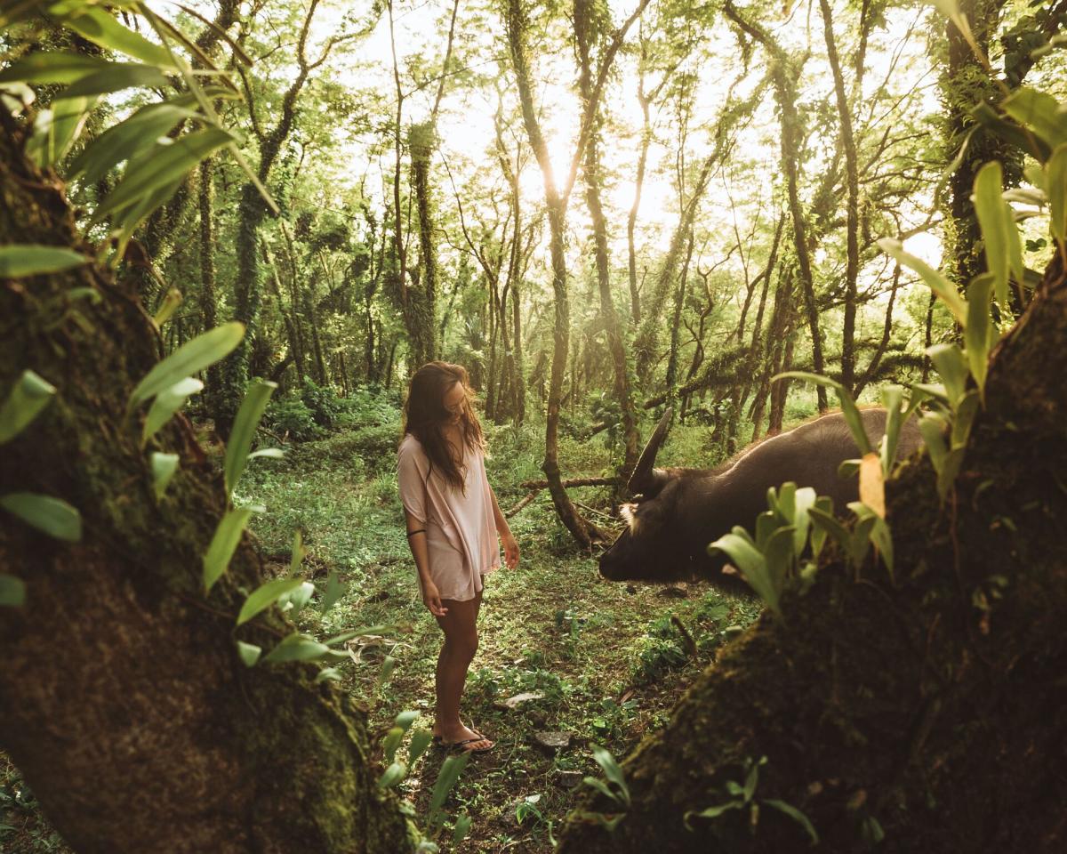 Guam Wildlife & Nature Encounters | Chamorro Island Guide