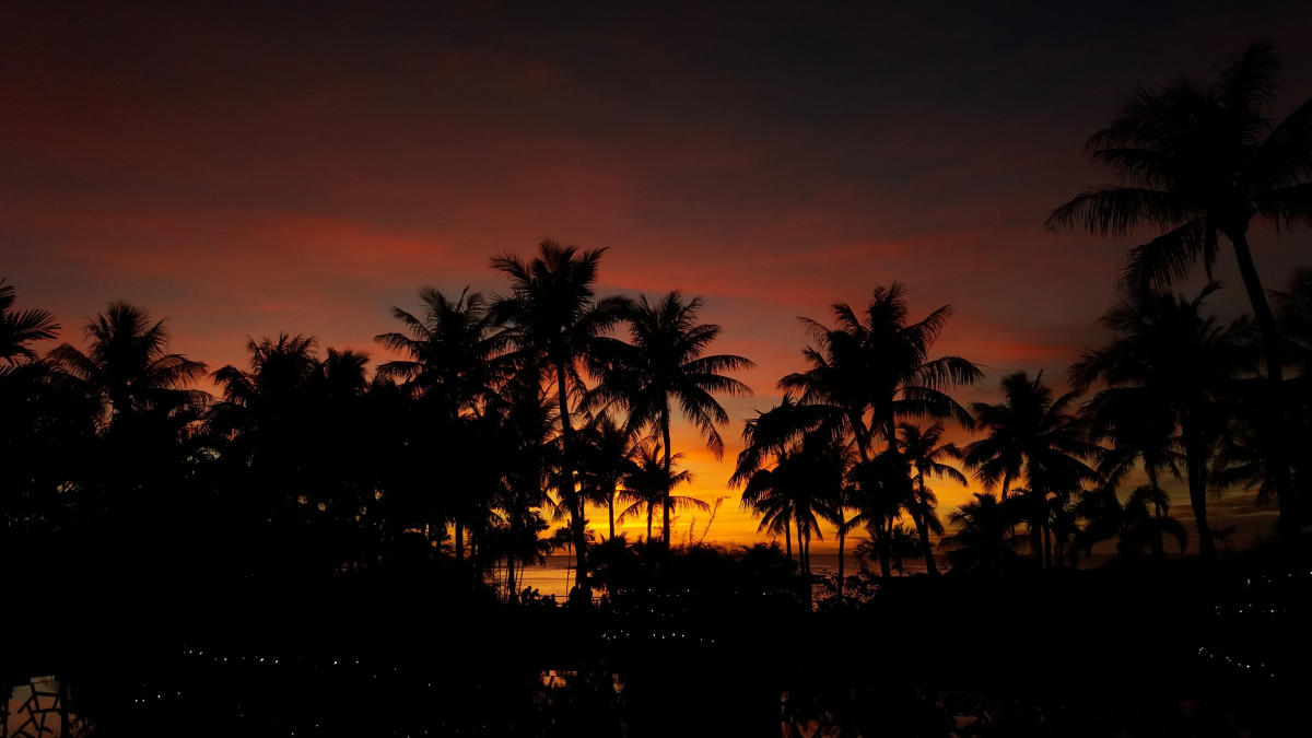 #instaGuam: Get to Know Guam’s Tree of Life
