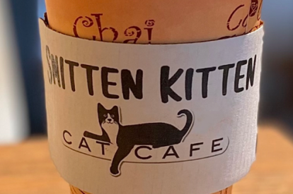 kitten coffee