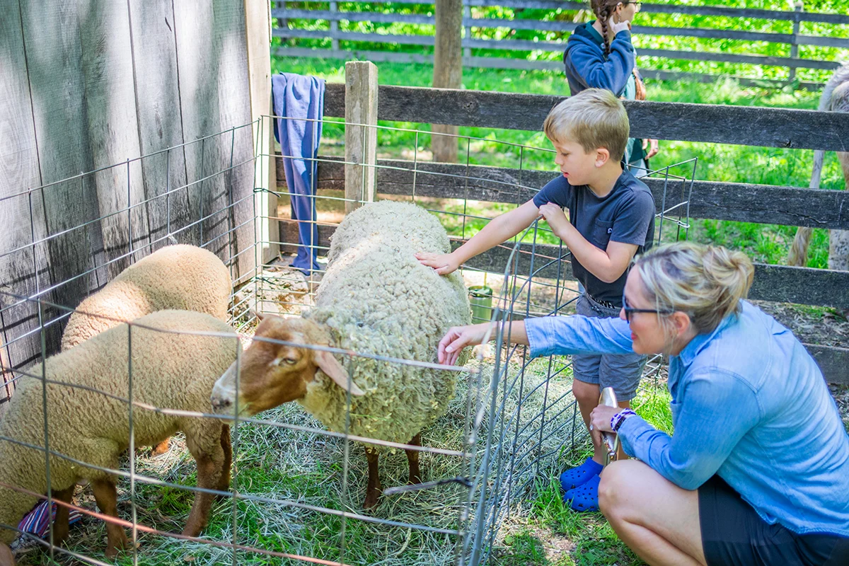 Curious By Nature: Animal Love and Care