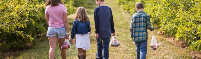 fall orchard activities