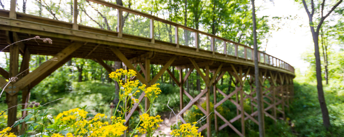 Spring Things to do in Hamilton County, IN | April Events