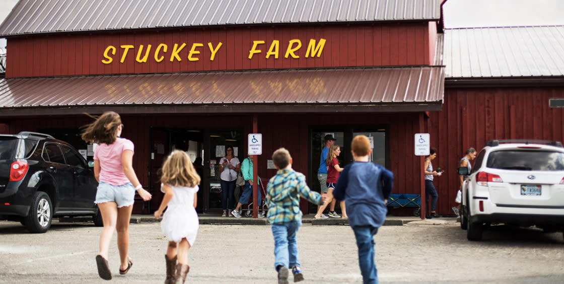 Stuckey Farm Orchard and Cider Mill | Harvest Festival Events