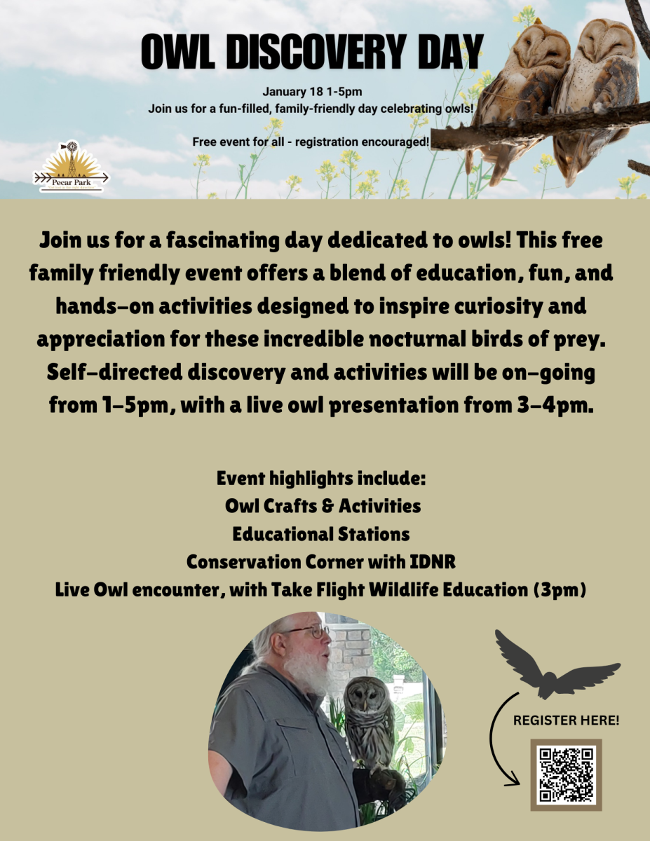 Owl Discovery Day | Avon, IN