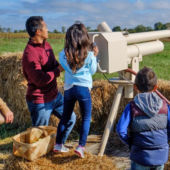 fall orchard activities