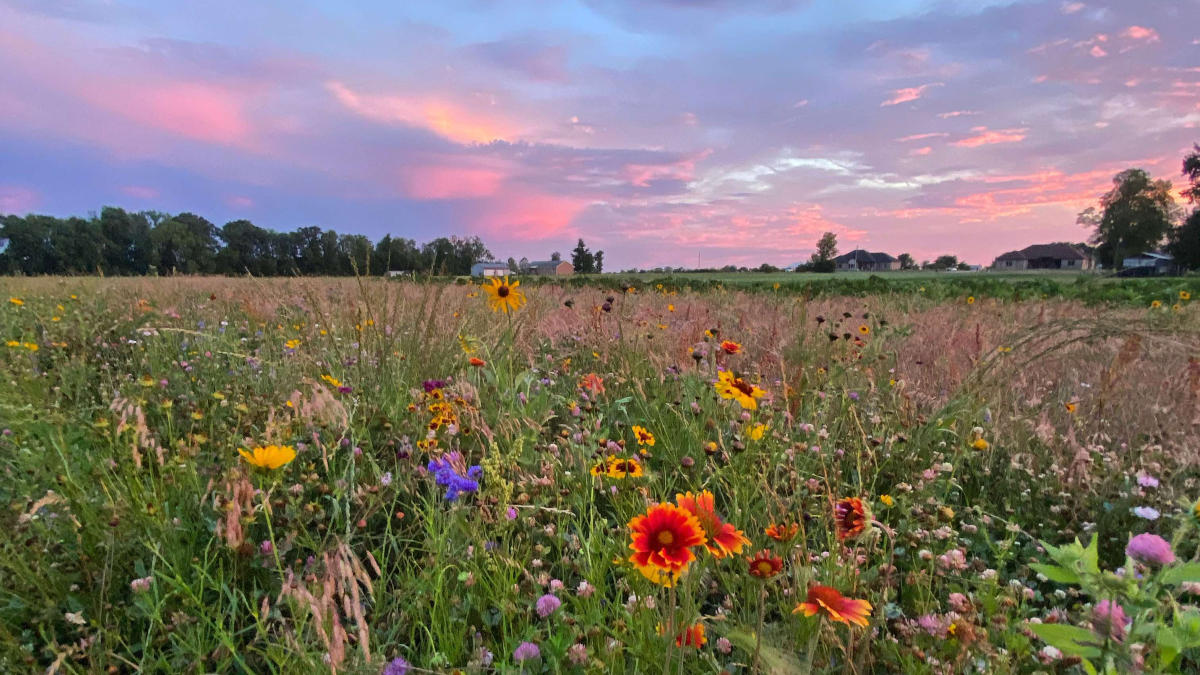 Top Flower Farms in Indiana | Gardens & Orchards