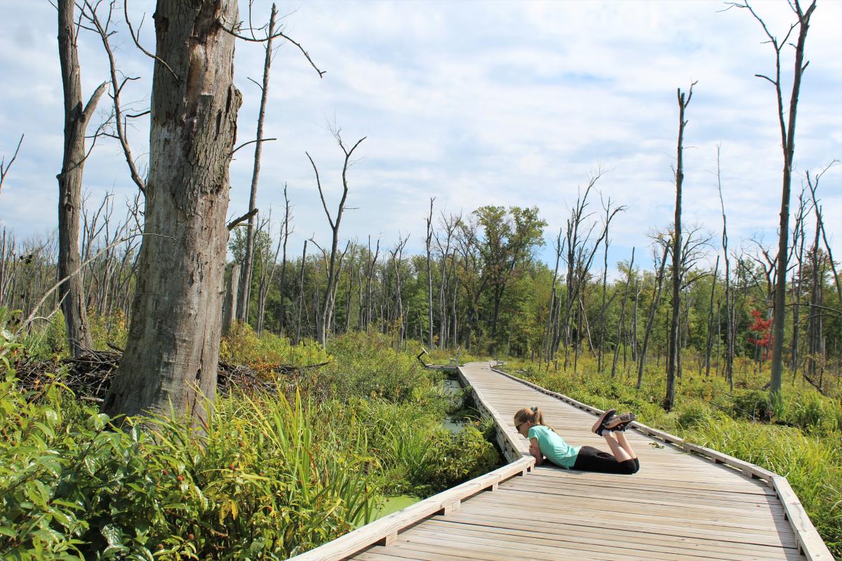 Discovering Trails 2 and 10 at Indiana Dunes State Park