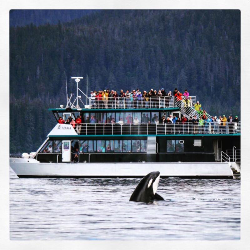 Allen Marine Tours