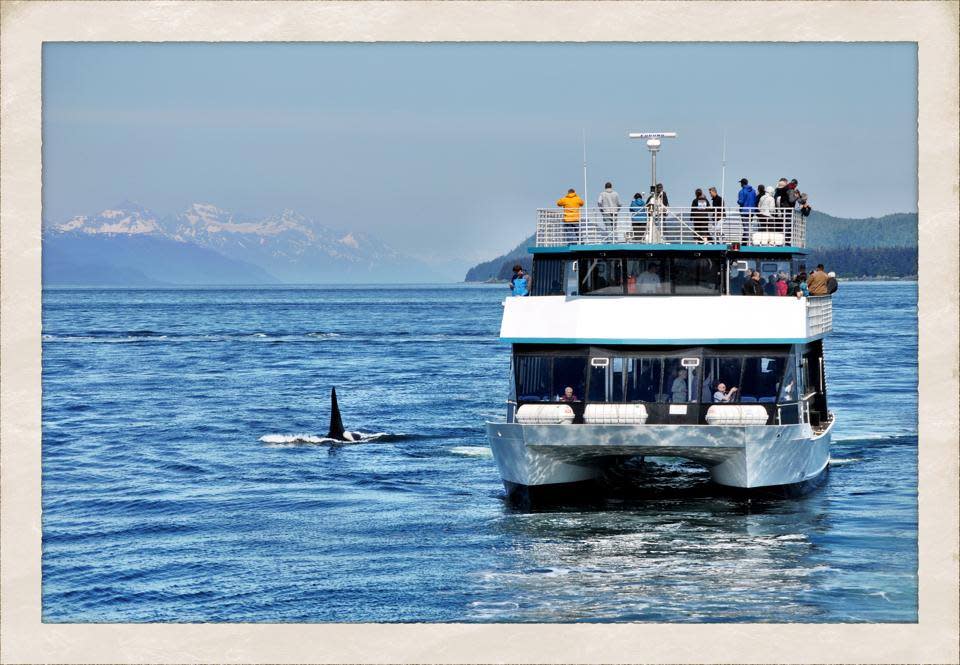 Allen Marine Tours