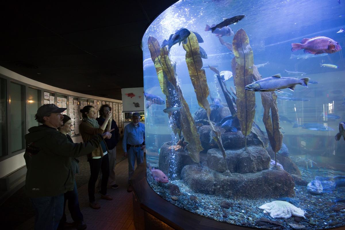 fish hatchery calgary