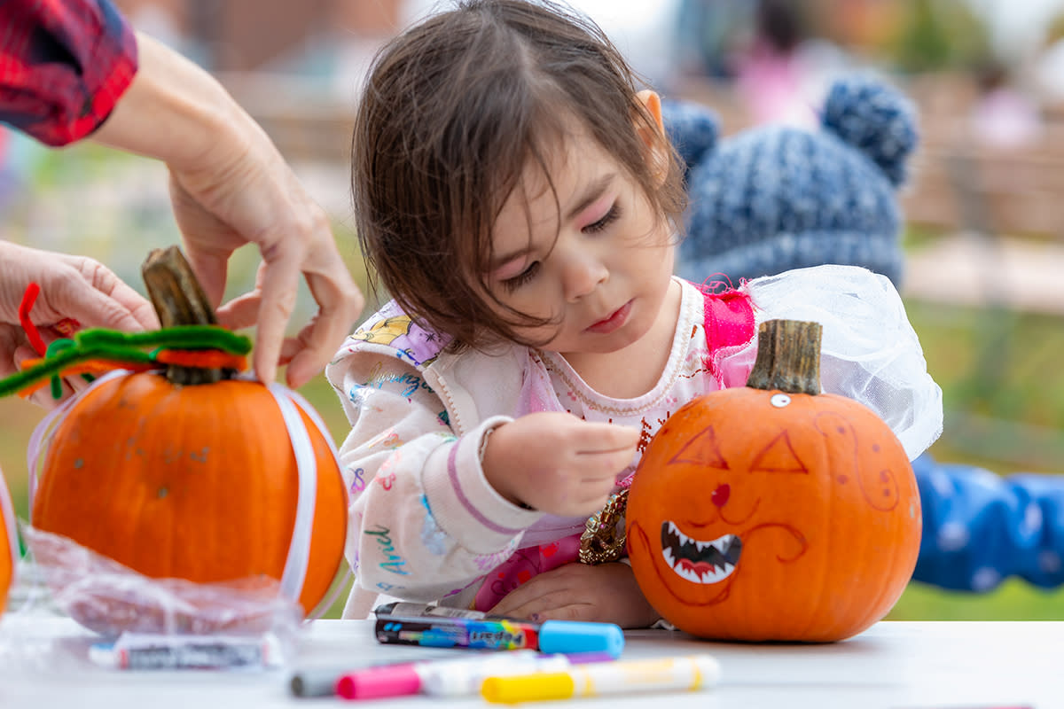 Fall Into Fun Festival | Kenosha, WI