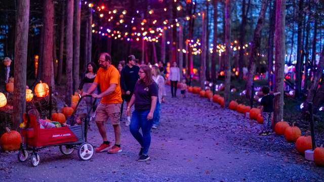 Roba Family Farms | Fall Farm Festivals