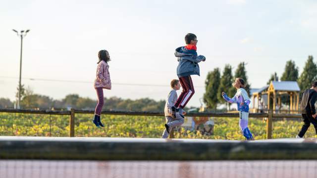 Roba Family Farms | Fall Farm Festivals