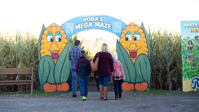 Roba Family Farms | Fall Farm Festivals