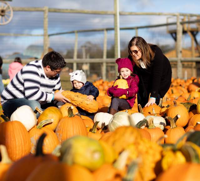 Roba Family Farms | Fall Farm Festivals