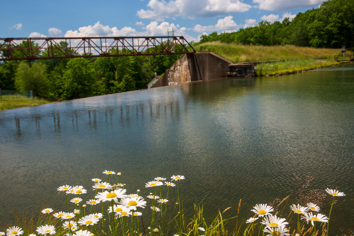 Experience Dunmore’s Small-Town Charm and Modern Amenities