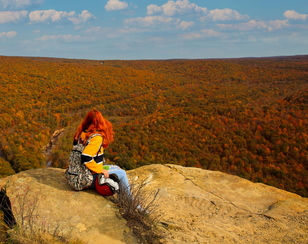 Best Places to See Fall Foliage in Scranton | Fall Foliage Near Scranton