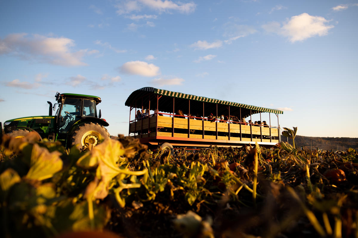 Family-Friendly Agritourism & Farm Experiences in Lackawanna County, PA