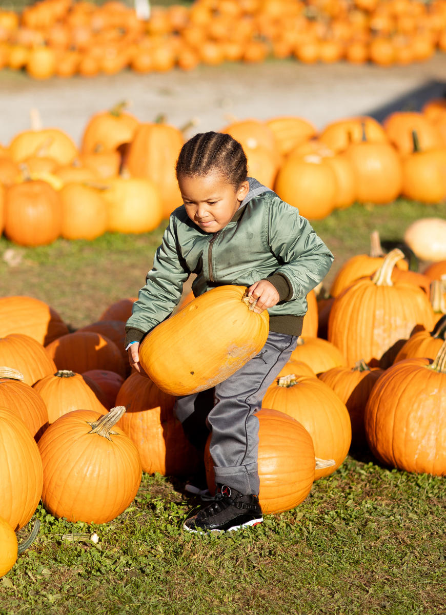 Roba Family Farms | Fall Farm Festivals