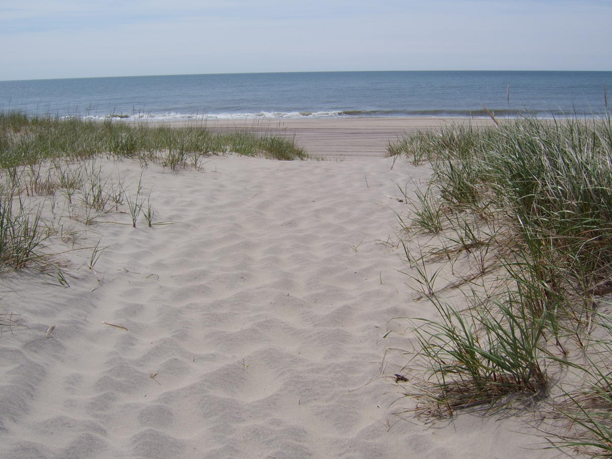 Mecox Beach