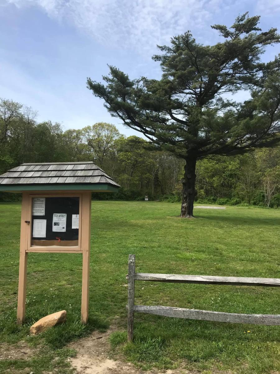 Thomas Muratore Park at Farmingville Hills County Park