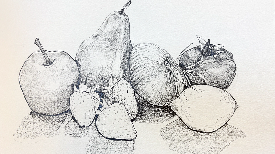 Basic Drawing with Julia Jane Moore