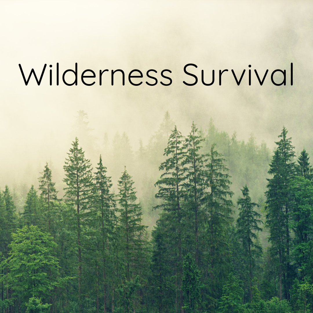 Wilderness Survival