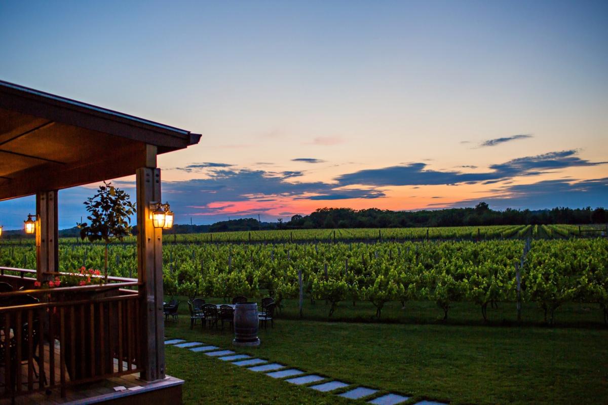 Macari vineyards wedding 60 photos - Astyledwedding.com