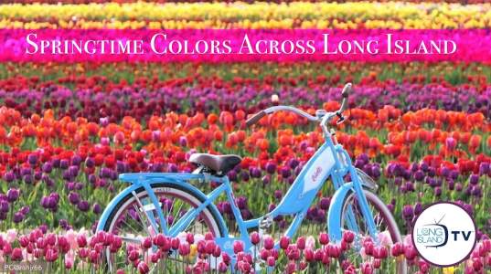 Spring on Long Island: Fields of Bloom and Outdoor Adventures