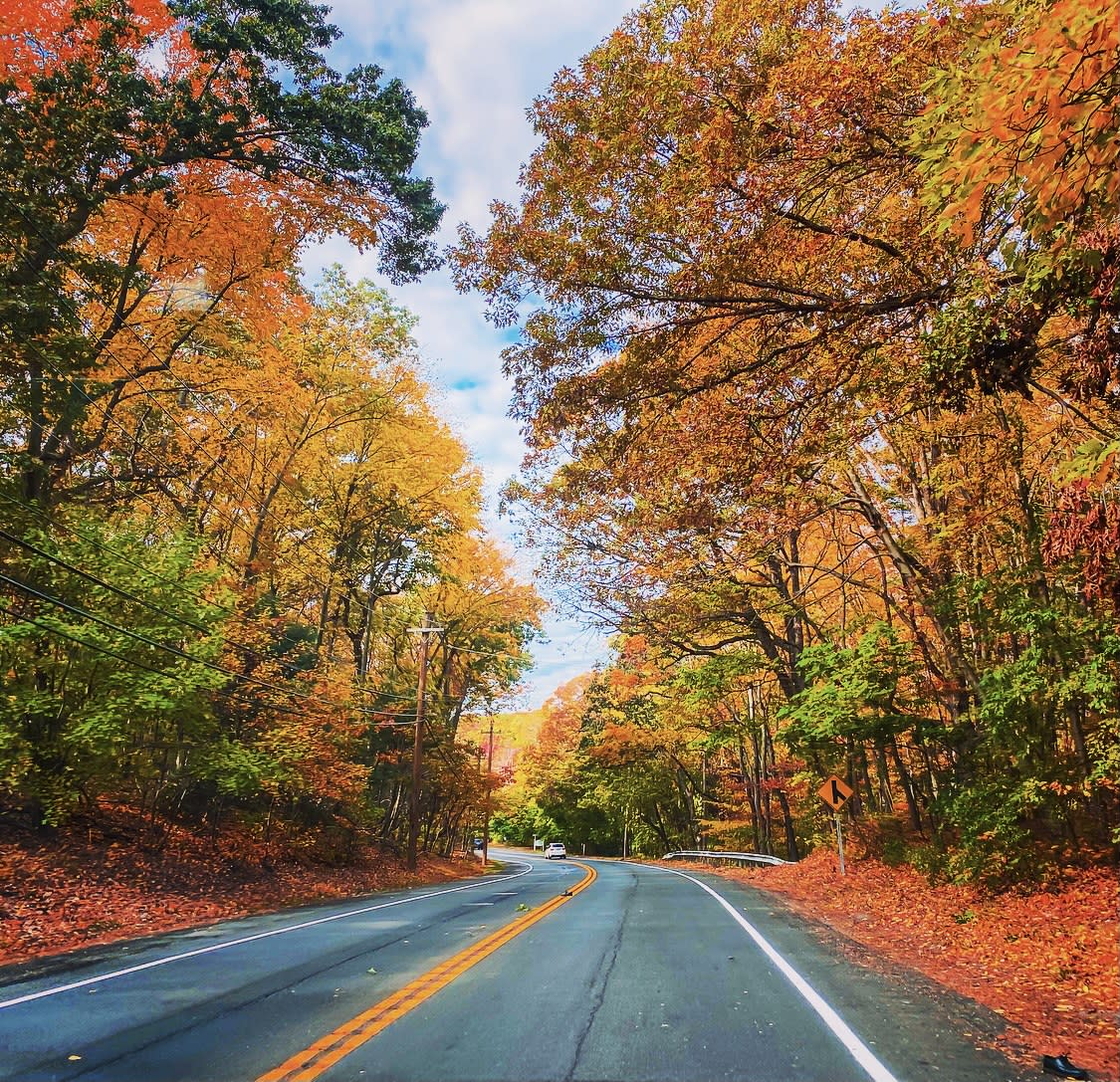 Long Island NY Fall Foliage Guide | Scenic Autumn Colors