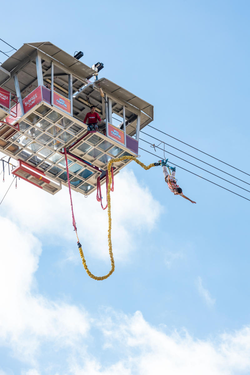 Wild Canyon Adventures