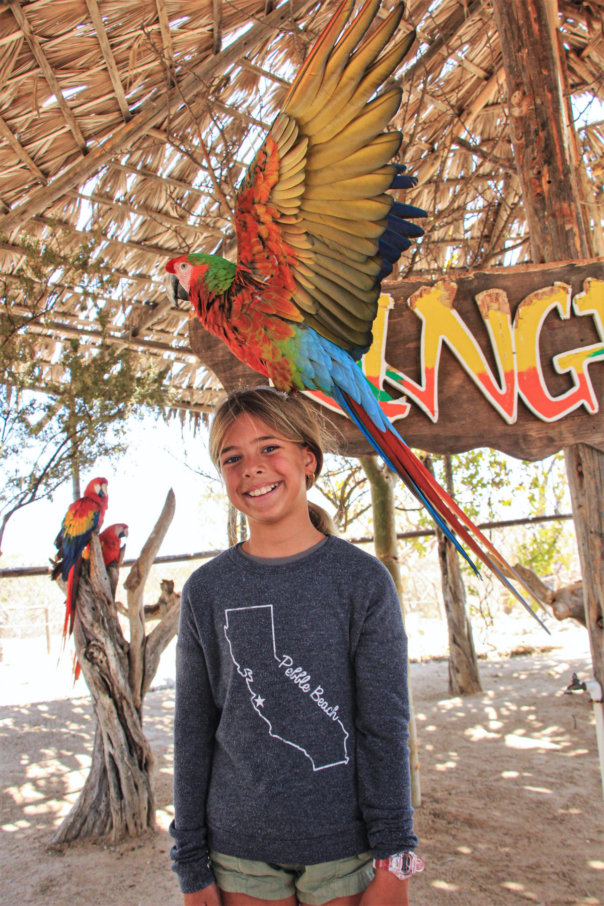 Wild Canyon Adventures