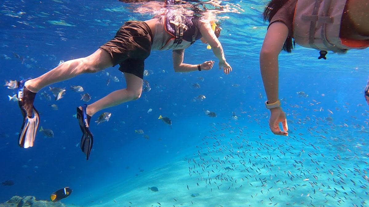 Conoce a Cabo Nature: Empoderando a las mujeres en el océano