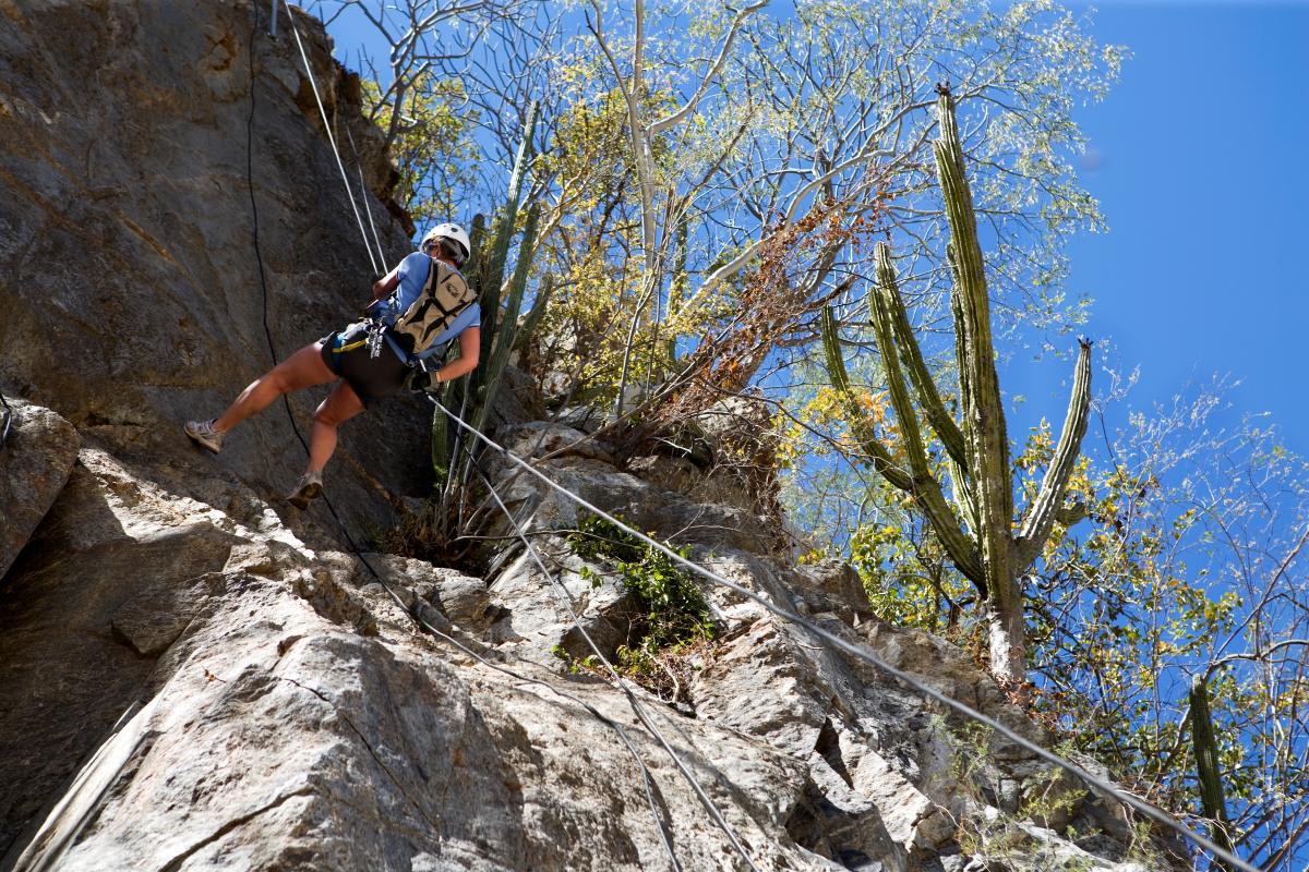 Rappeling - Visit Los Cabos - Rappeling Tours in Cabo San Lucas