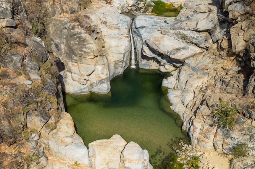 ¿Qué hacer en la Biósfera Sierra La Laguna | Visita Los Cabos