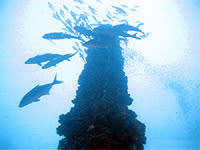 DownTime Dive Charters
