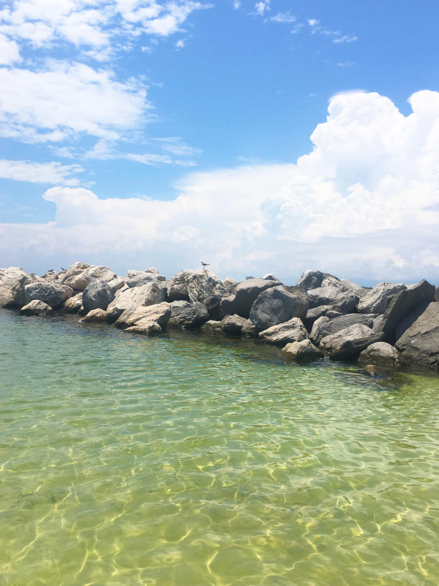 Shell Island Boat Rentals & Tours