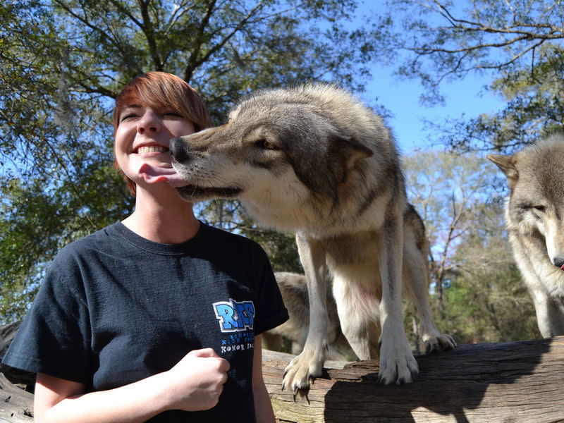 water wolves charters