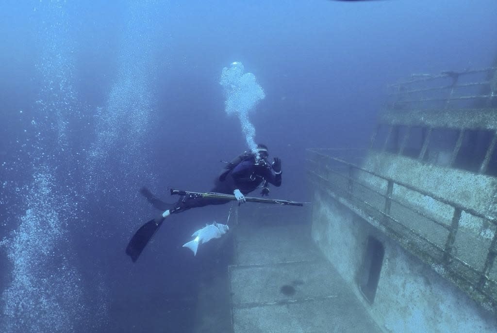 SCUBA Diving in Panama City Beach | Top Sites & Dive Shops