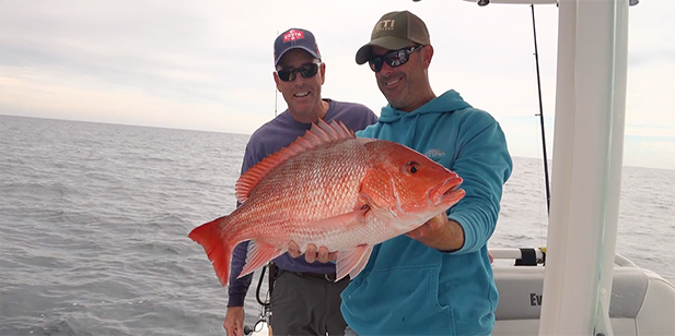 Red Snapper Season Opens Tuesday!