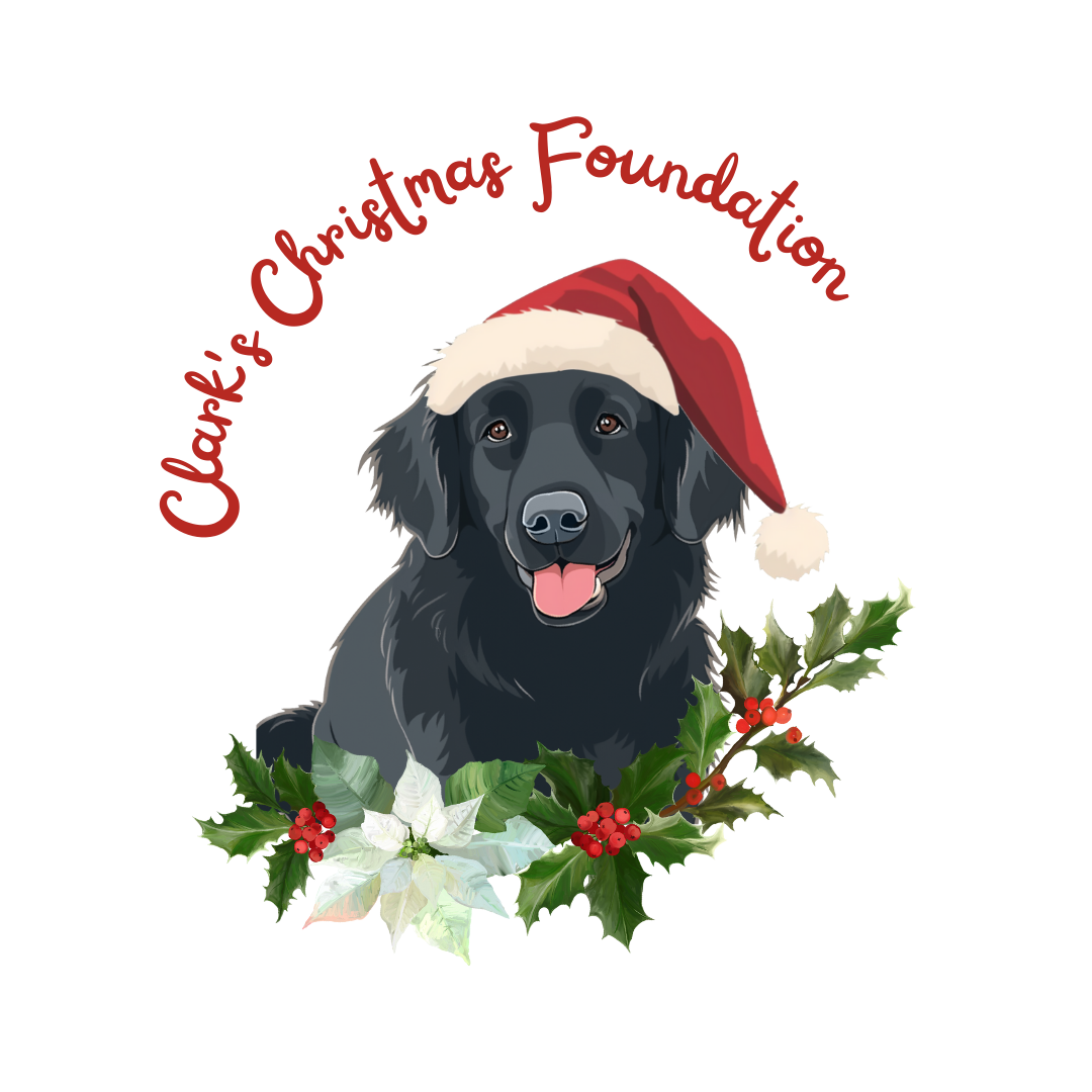 Clark's Christmas Foundation