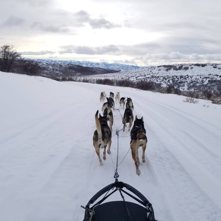 Bear Ridge Adventures