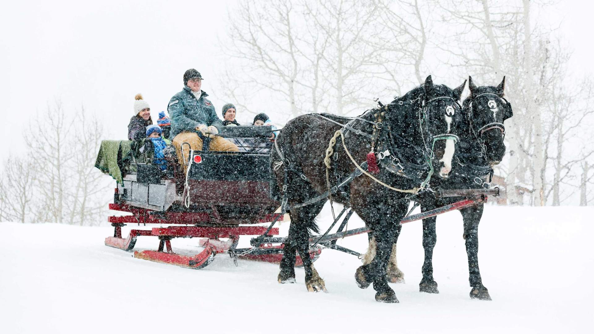 sleigh ride simulator