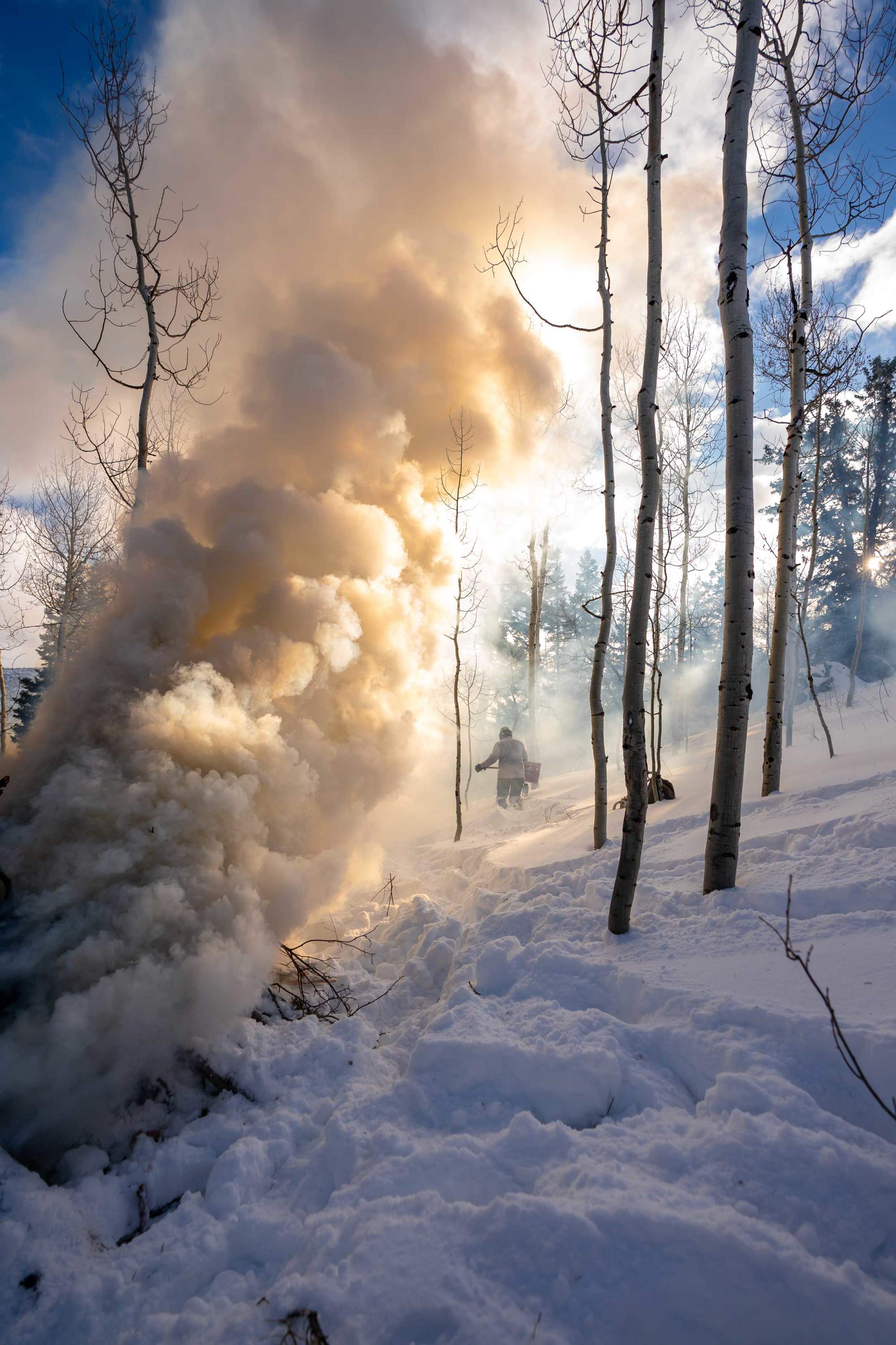 Fighting Fire with Fire: Alpine Forestry in Park City
