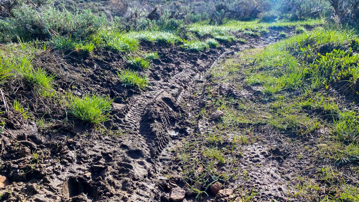 Tips to Avoid Spring Trail Damage | Park City, UT